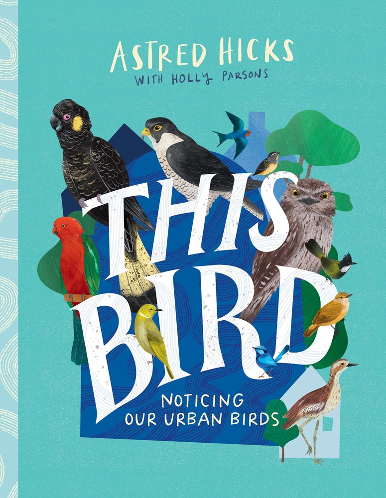 This Bird Noticing Our Urban Birds | Author: Astred Hicks